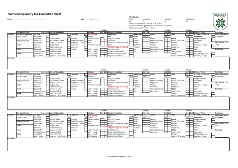 Tea Cupping Evaluation Sheet | Download Free PDF | Tea | Taste