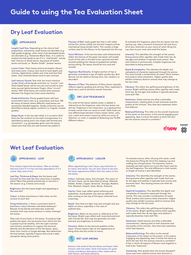 -using-the-tea-evaluation-sheet | PDF | Taste | Tea