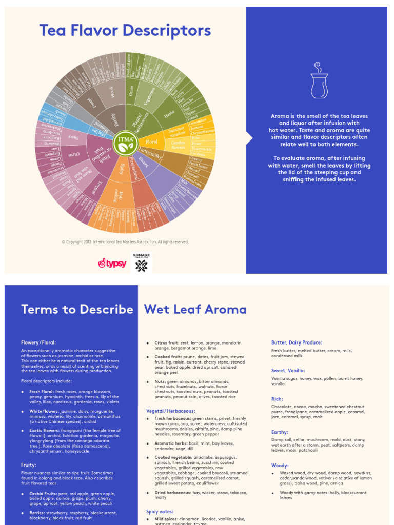 Tea Flavor Descriptors | PDF | Taste | Tea