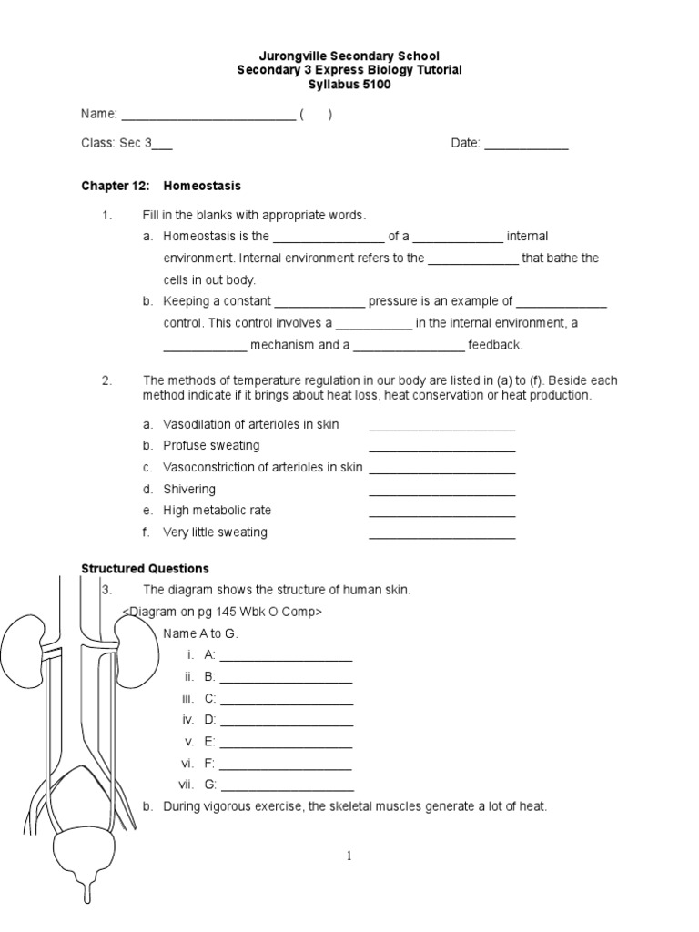 Chapter 12 Homeostasis - Tutorial Worksheet | PDF | Homeostasis ...