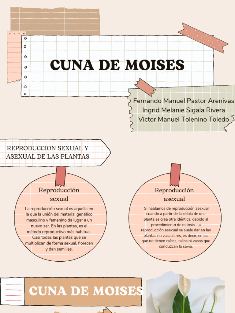 CUNA DE MOISES | PDF | Plantas | Reproducción sexual