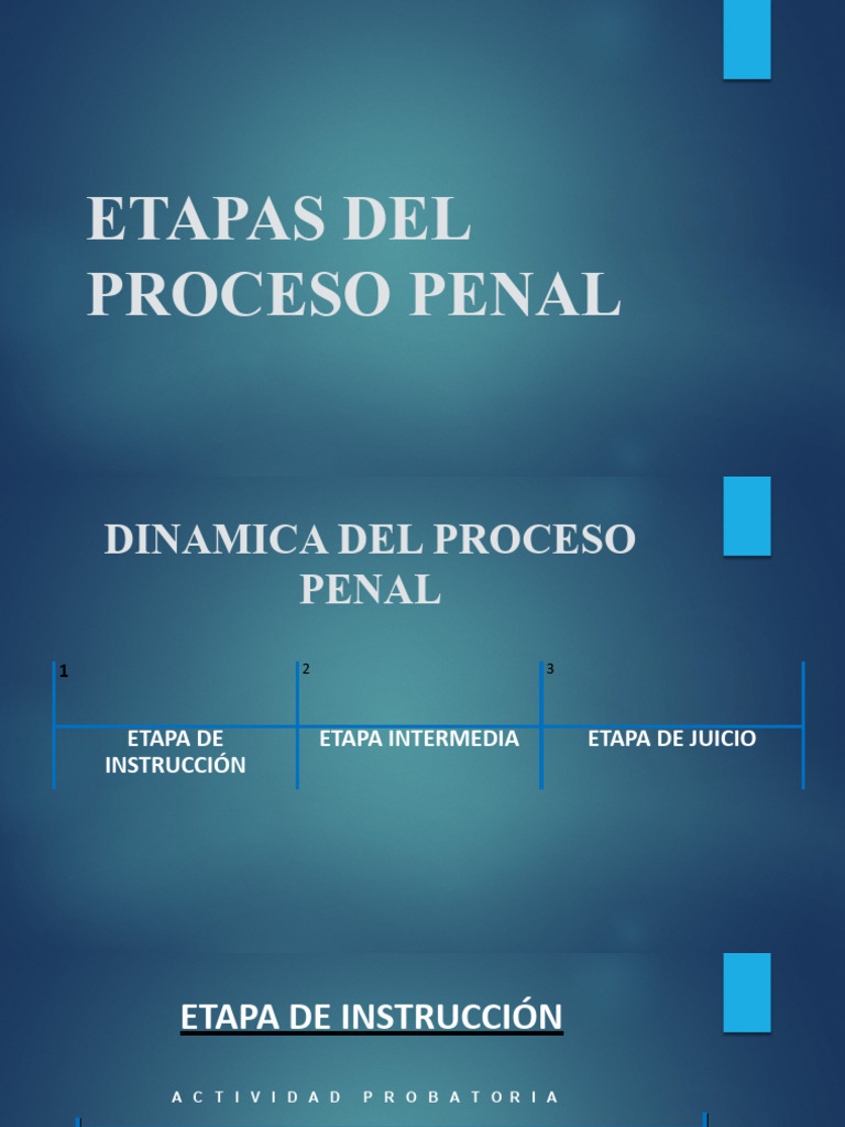 Etapas Del Proceso Penal | PDF | Fiscal | Policía