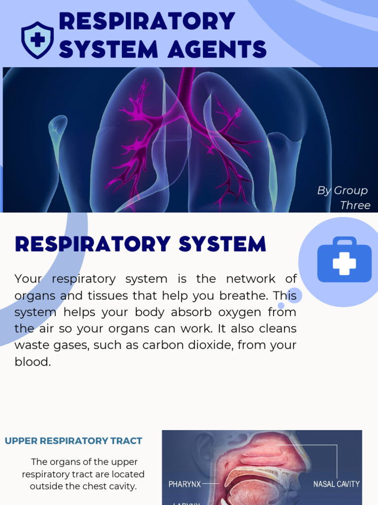 Group 3 Respiratory System | PDF | Respiratory Tract | Respiratory Diseases
