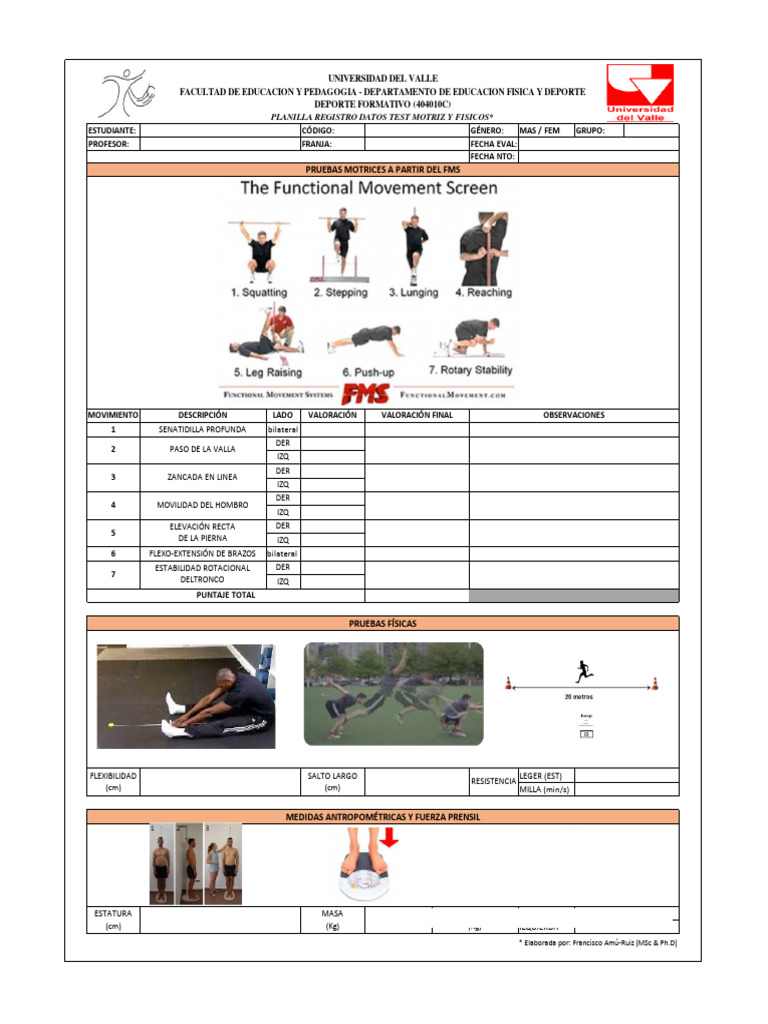 Planillas-DF-Test CF y Motriz | PDF