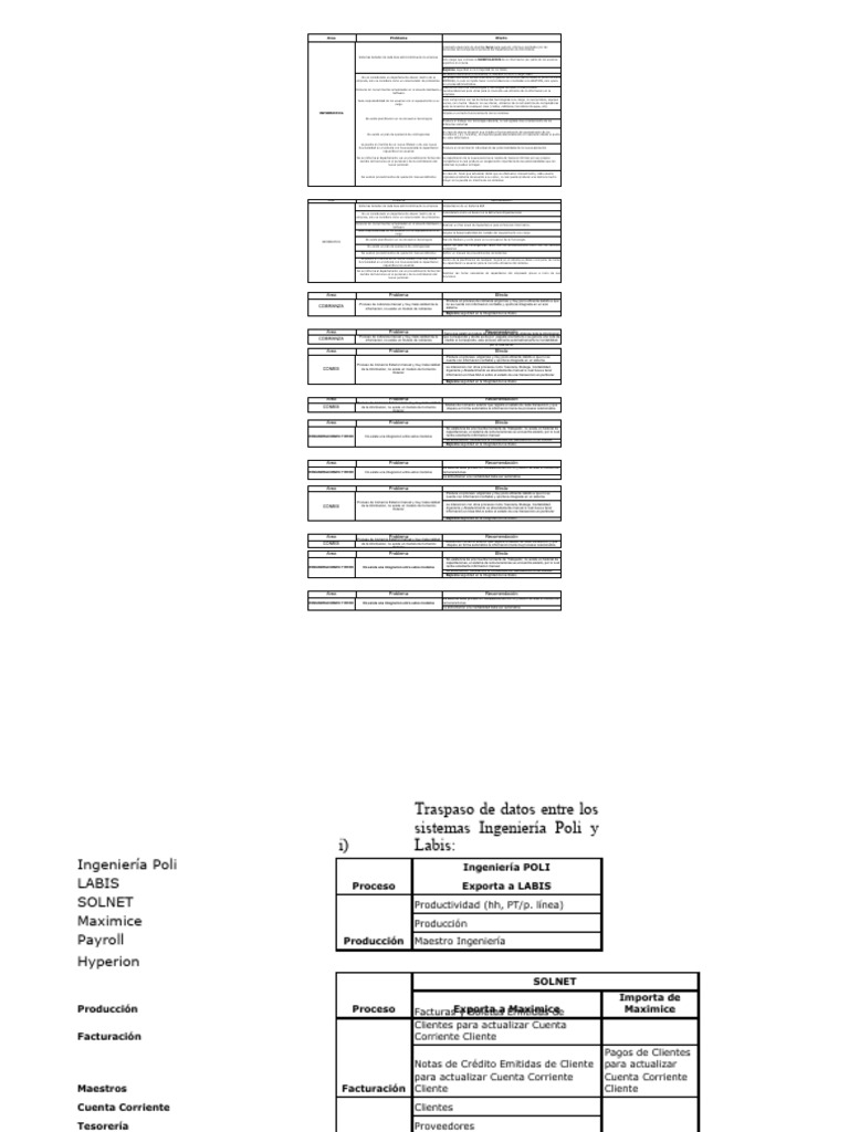 1 Elementos Del Plan Informatico | PDF | Marketing | Business