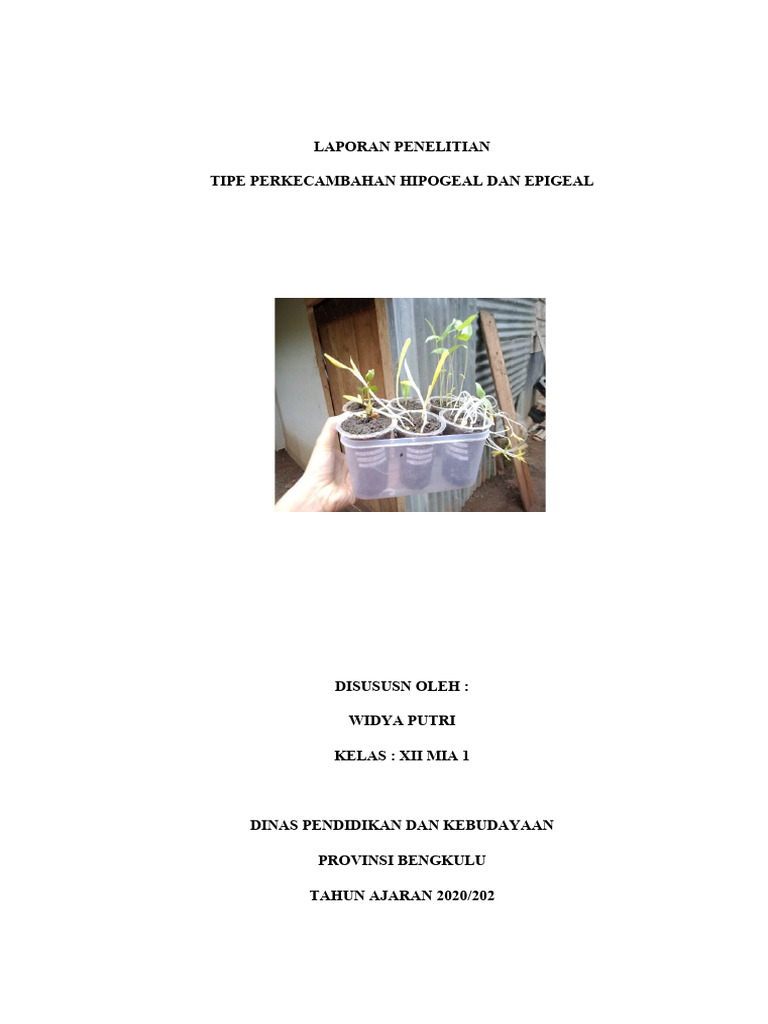 Tipe Perkecambahan: Hipogeal dan Epigeal | PDF