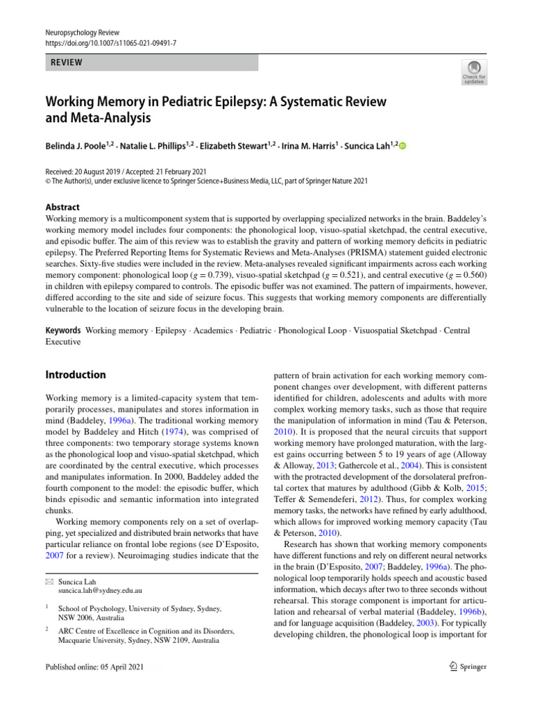 Jurnal Anak | PDF | Working Memory | Memory
