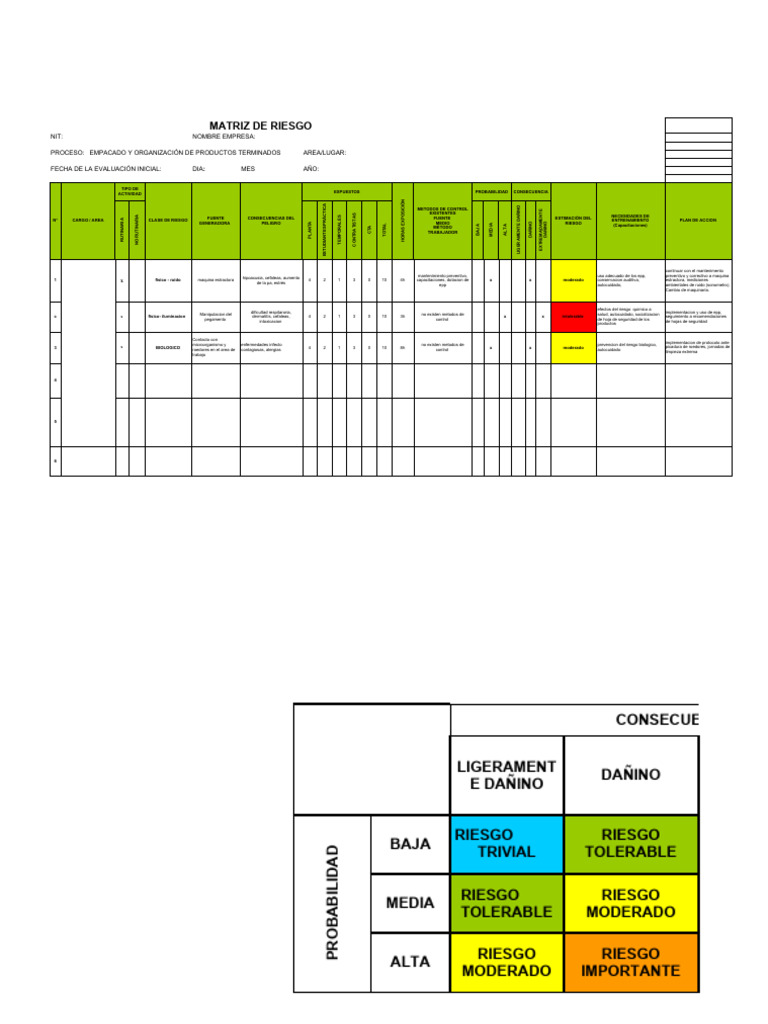 Formato Matriz de Peligros | PDF | Riesgo | ruido