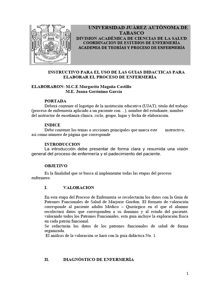 Instrumentos Proceso de Enf. 2024-1 | PDF | Enfermería | Cuidado de la ...