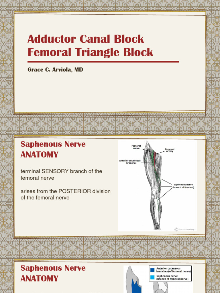 Adductor Canal + Femoral Triangle Block | PDF