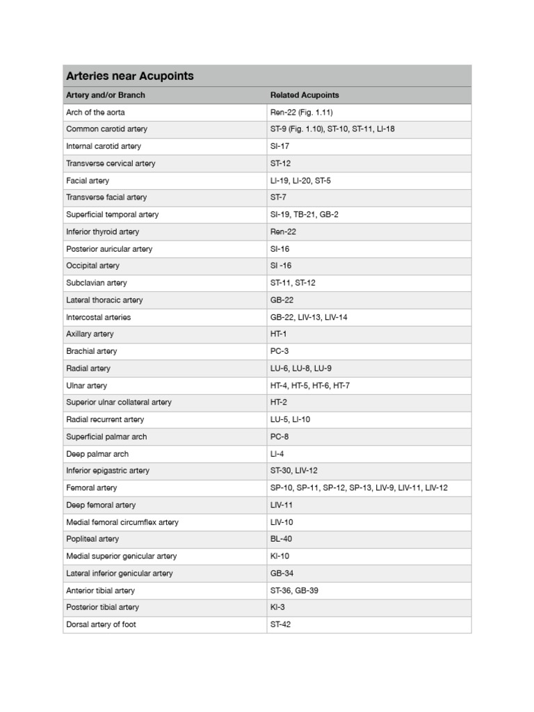 Arteries Near Acupoints | PDF