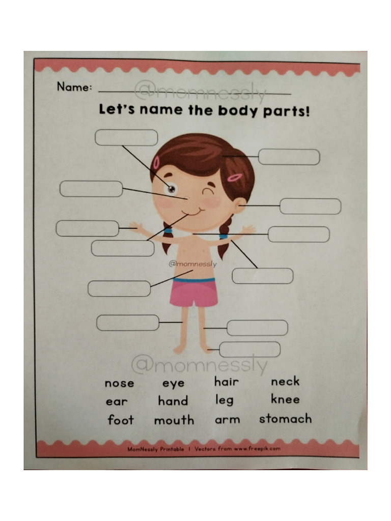 Body Parts Boy & Girl | PDF