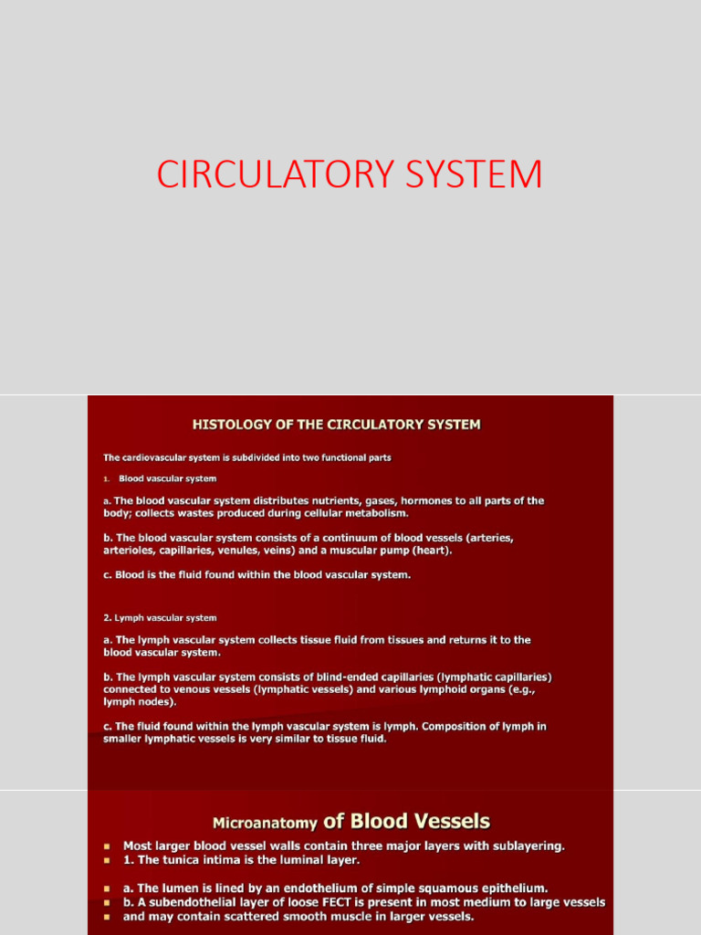 Circulatory System - Lab and Lec | PDF | White Blood Cell | Granulocyte