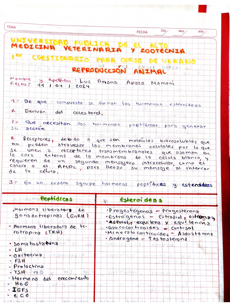 Documento | PDF