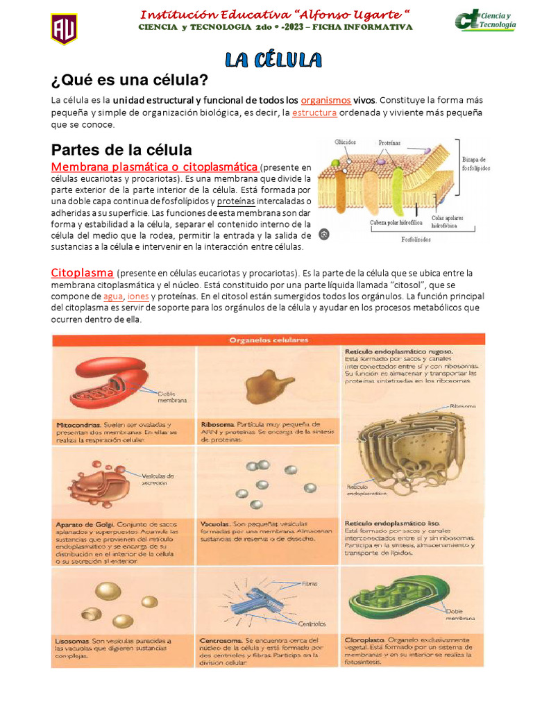 Alfonsougarte Cubicol Pe | PDF