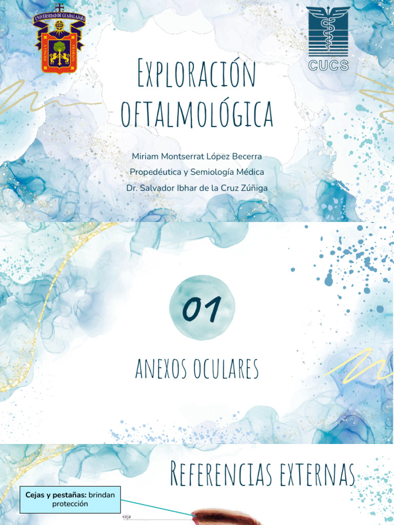 Exploración Oftalmológica | PDF | Ojo humano | Percepción visual