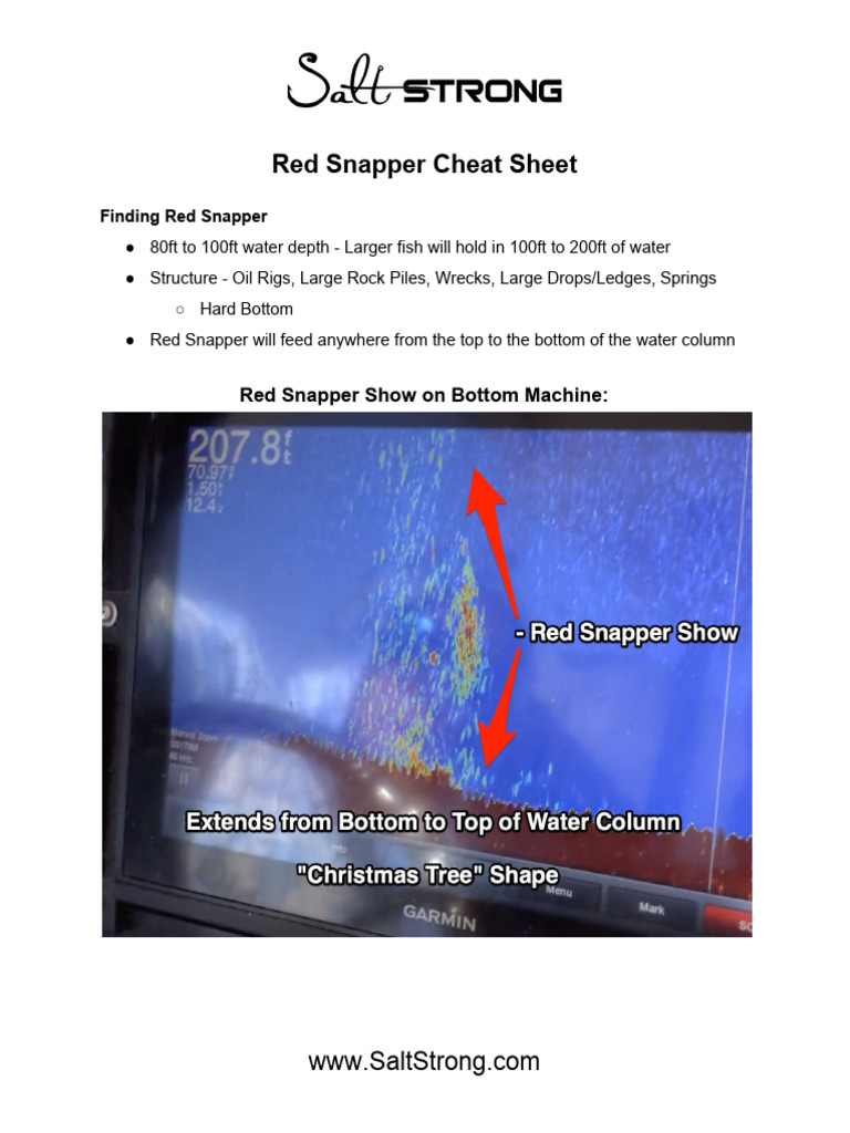 Red-Snapper-Cheat-Sheet-1 | PDF | Fishing Rod | Fishing Tackle