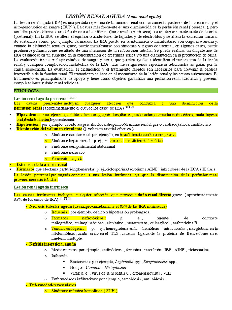 Causas y diagnóstico de lesión renal aguda | PDF | Medicina | Órgano ...