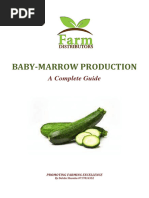 Butternut Production Guide for Zimbabwe | PDF | Fertilizer | Soil