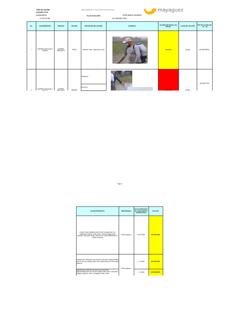 PLAN DE ACCIÓN DE LA EMPRESA ING MAYAGUEZ | PDF