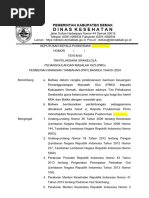 FORMAT RUK - RPK Sesuai PMK 44 Th. 2016 (2023) | PDF