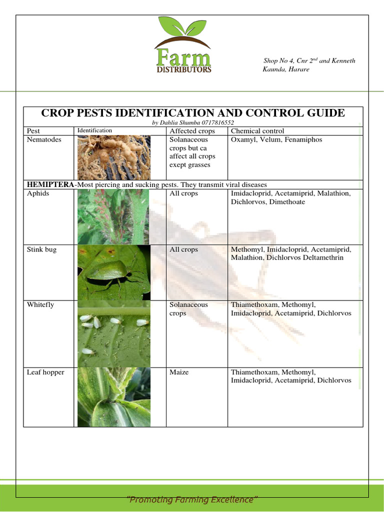 Pest Identification Guide_011919 | PDF | Pest (Organism) | Agricultural ...