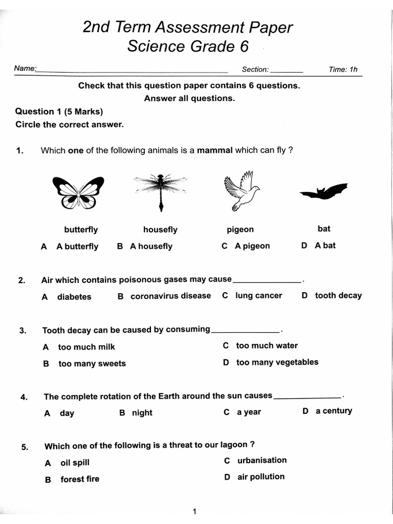 Assessment Papers | PDF