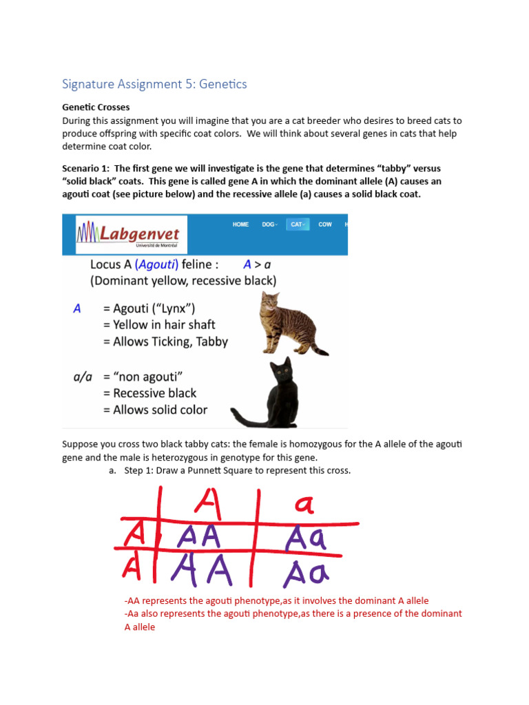 signature assignment 5 genetics | PDF | Genotype | Dominance (Genetics)