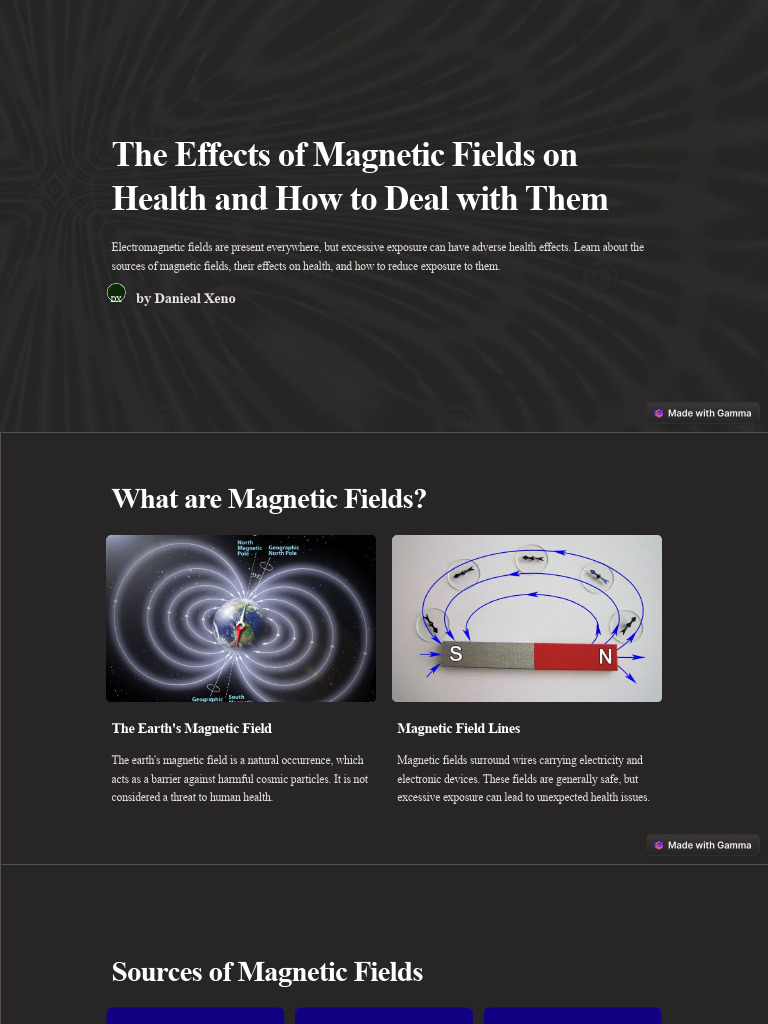 The Effects of Magnetic Fields on Health and How to Deal With Them | PDF | Magnetic Field ...