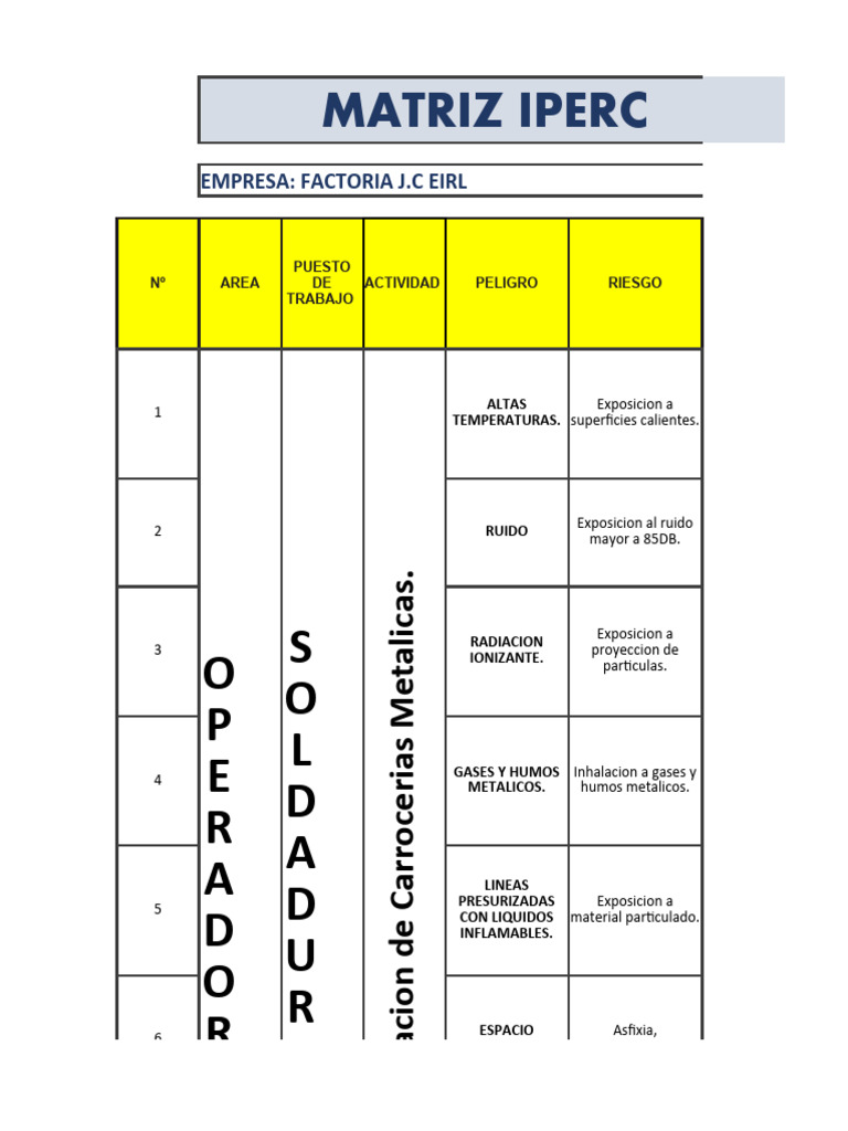 MATRIZ IPERC ZULEMA R | PDF | Medicina CLINICA | Especialidades Medicas