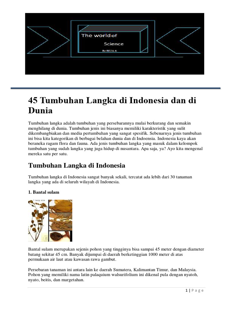 45 Tumbuhan Langka Di Indonesia Dan Di Dunia | PDF