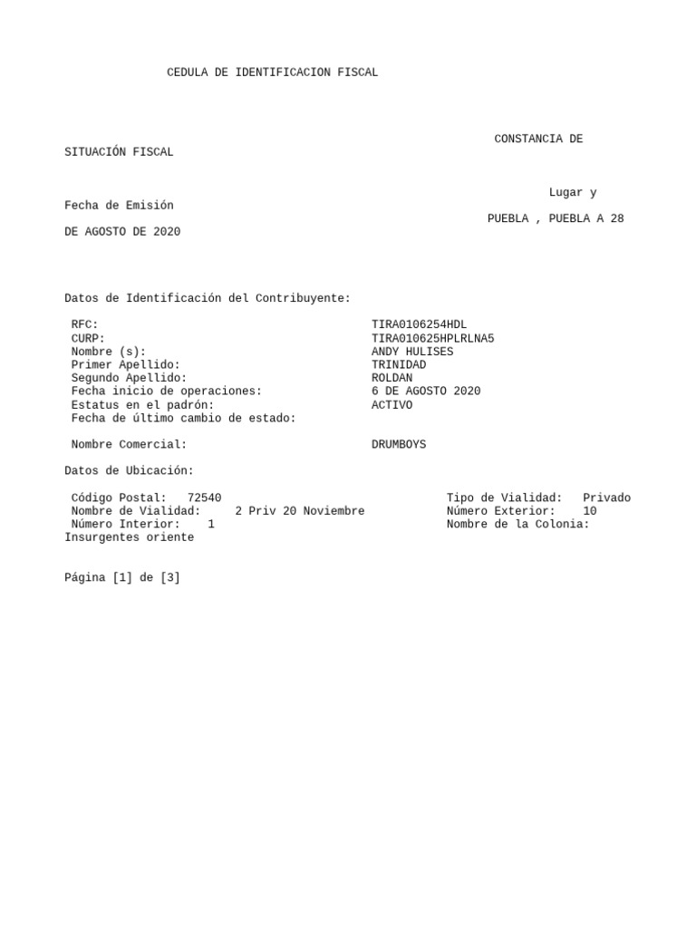 Cedula de Identificacion Fiscal Editable 1 | PDF