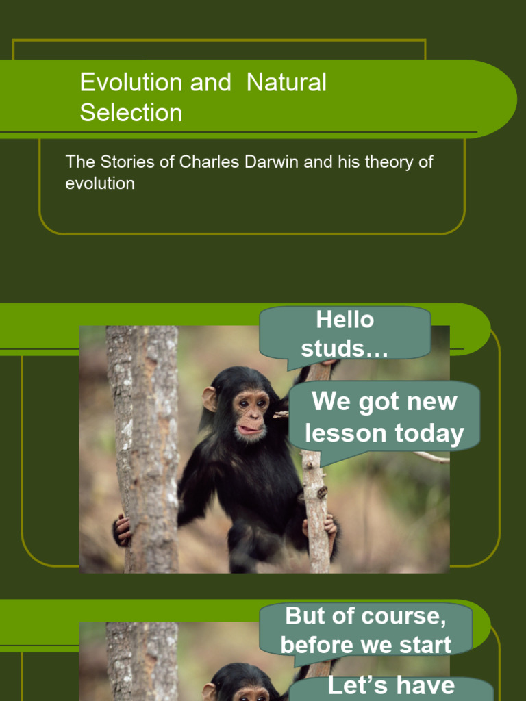 evolutionv2-1 | PDF | Natural Selection | Evolution