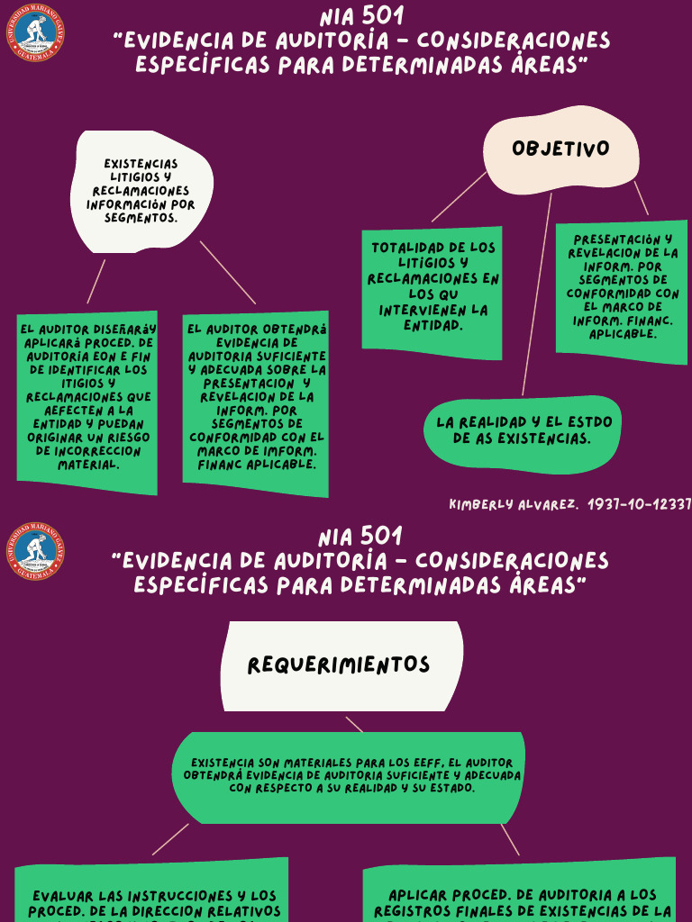 NIA 501 - Mapa Mental | PDF | Auditoría
