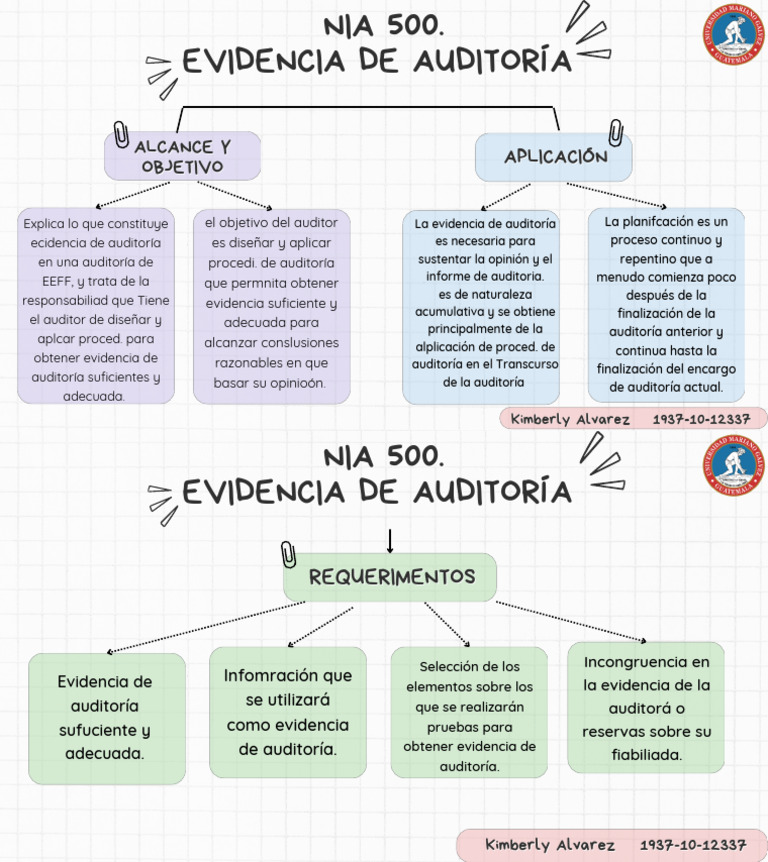 NIA 500 - Mapa Mental | PDF