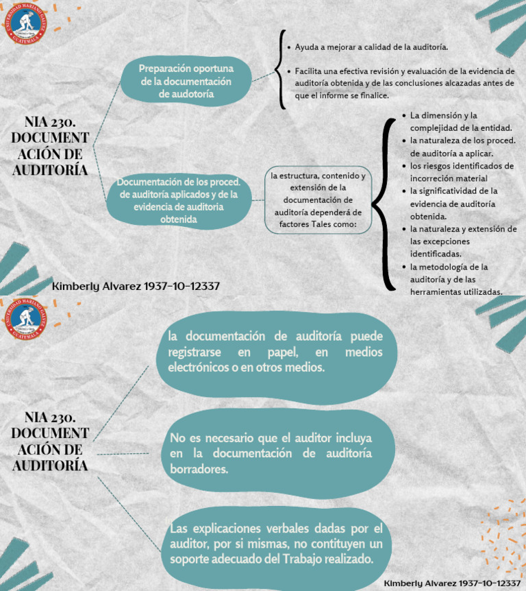 Documentación de Auditoría NIA 230 | PDF | Auditoría