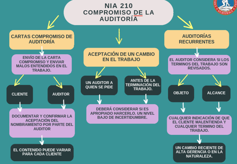 NIA 210 - Mapa Mental | PDF