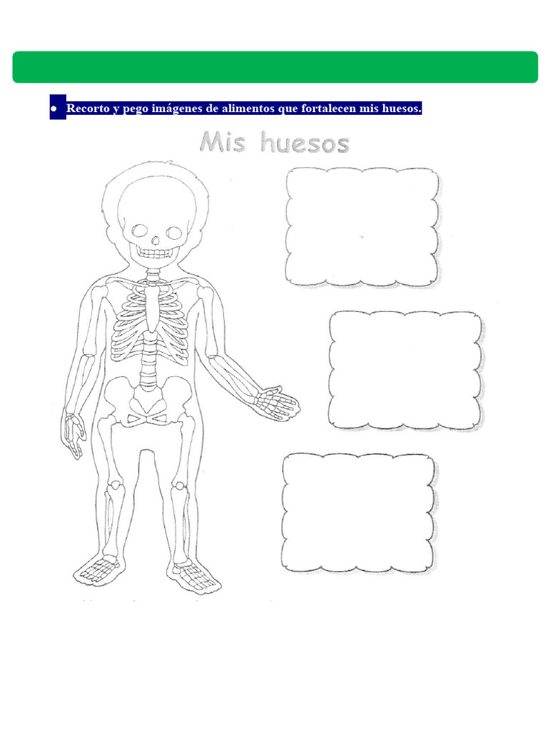 Sistema Oseo Para Ninos Pdf