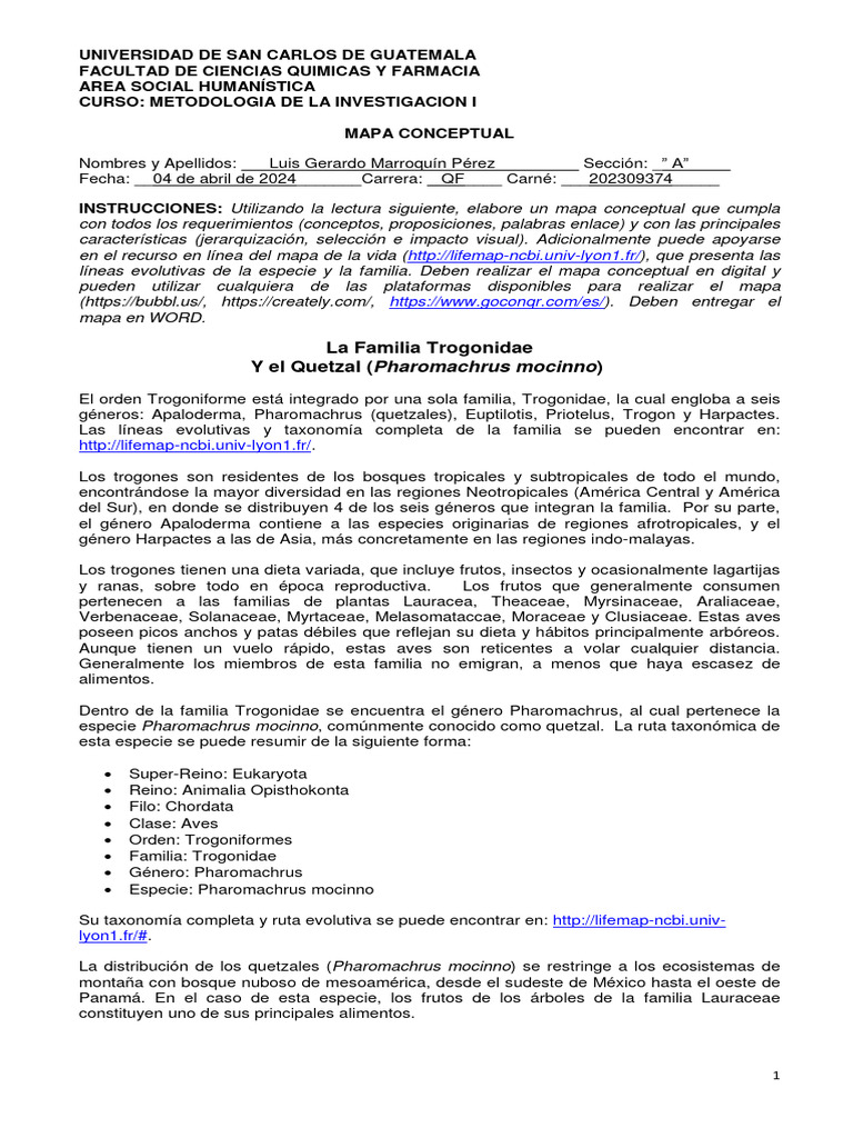 TAREA MAPA CONCEPTUAL | PDF | Aves | Clasificación biológica