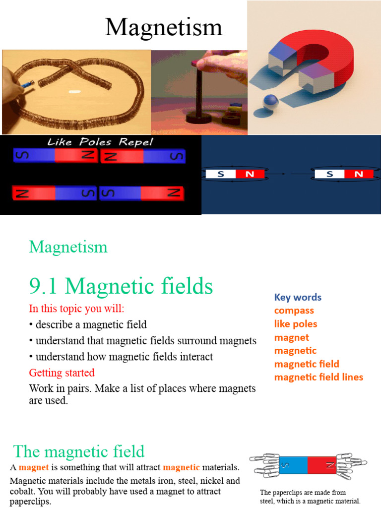 magnet and magnetic field saraa private school | PDF | Magnet | Magnetism