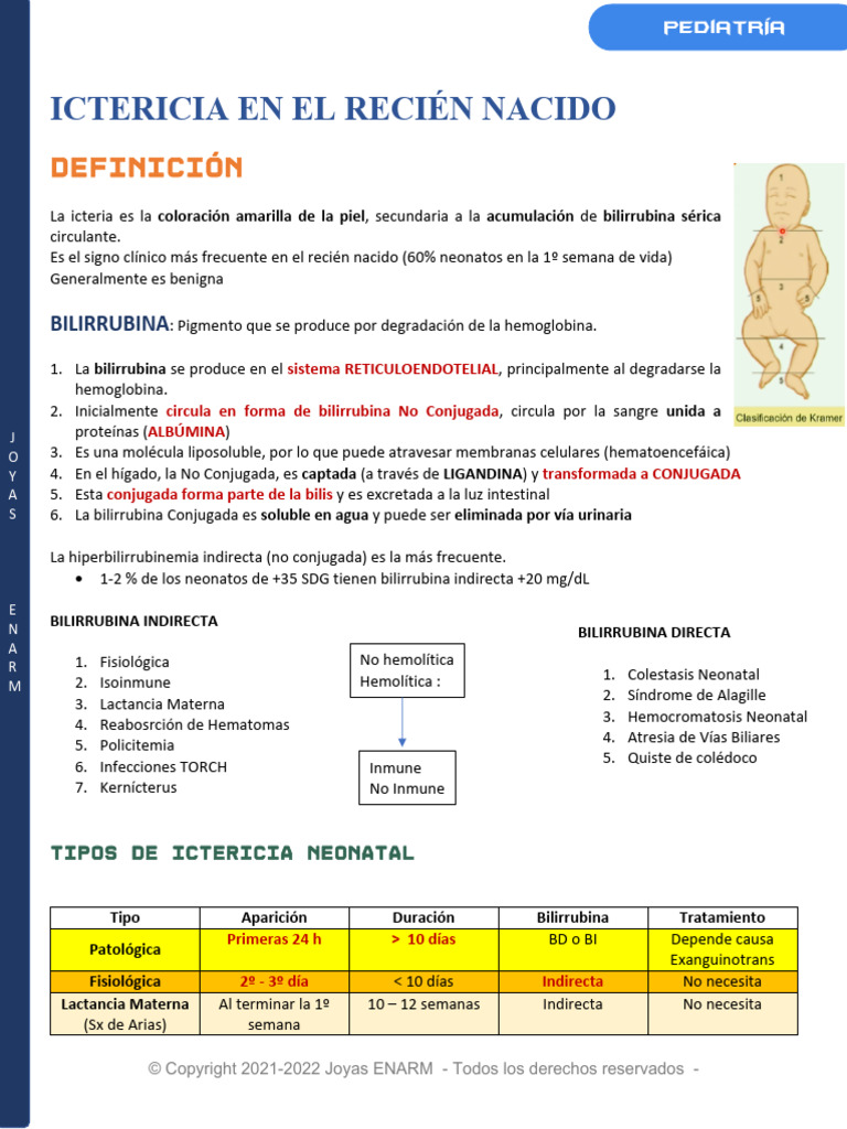 Ictericia Neonatal | PDF | Enfermedades y trastornos | Hígado