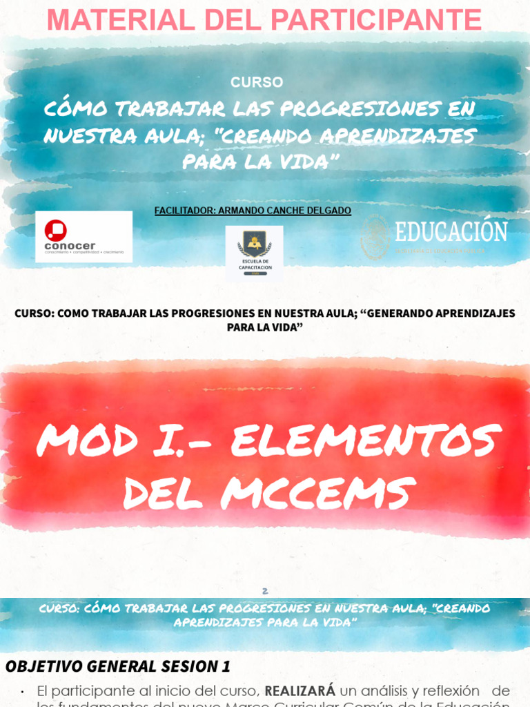 ELEMENTOS MCCEMS | PDF | Plan de estudios | Aprendizaje