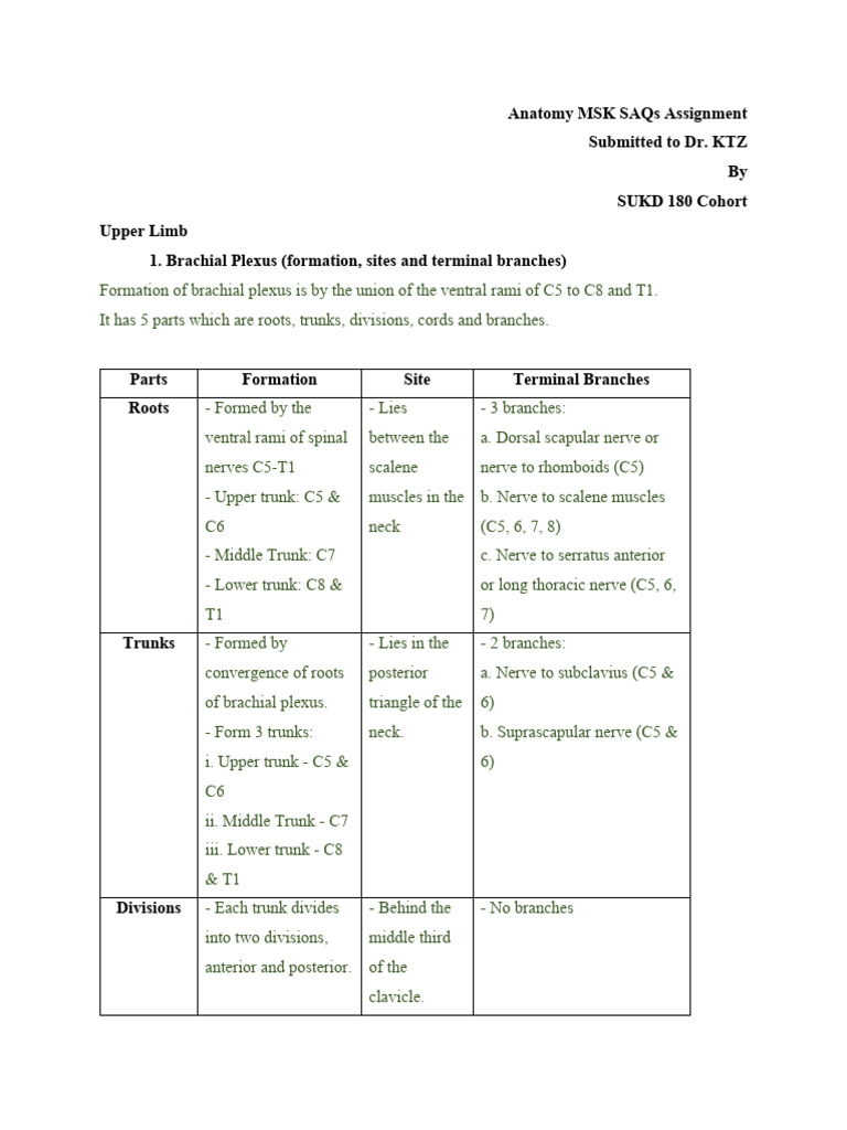 Anatomy MSK SAQs Assignment | PDF | Human Leg | Anatomical Terms Of Motion