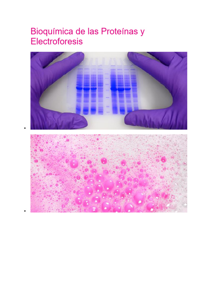 Teoría 3 - Electroforesis | PDF | Electroforesis | Sustancias químicas