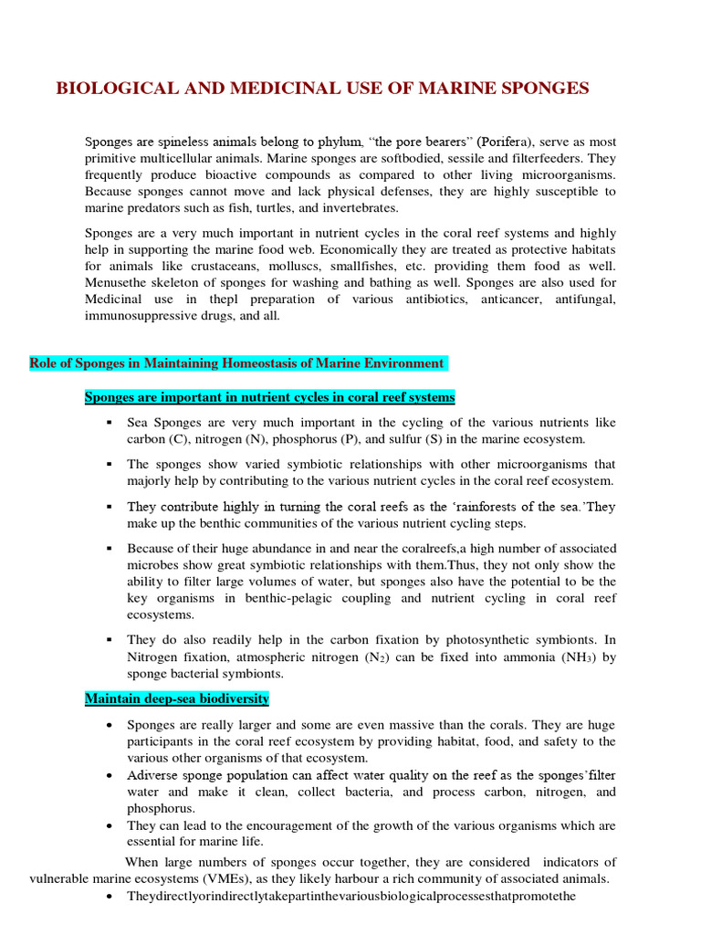 Study Material On Medicinal Uses of Marine Sponges | PDF | Coral Reef ...