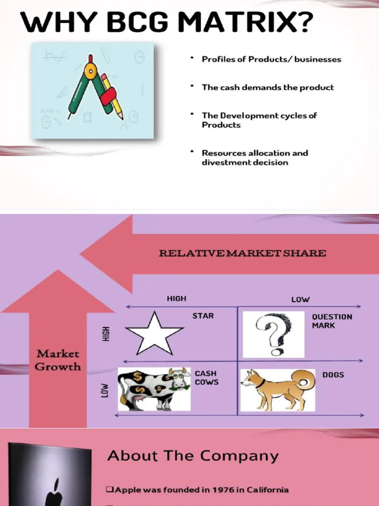 BCG Matrix 10B | PDF