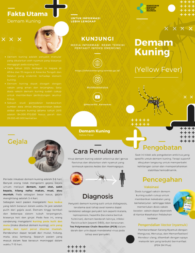 Leaflet Demam Kuning | PDF