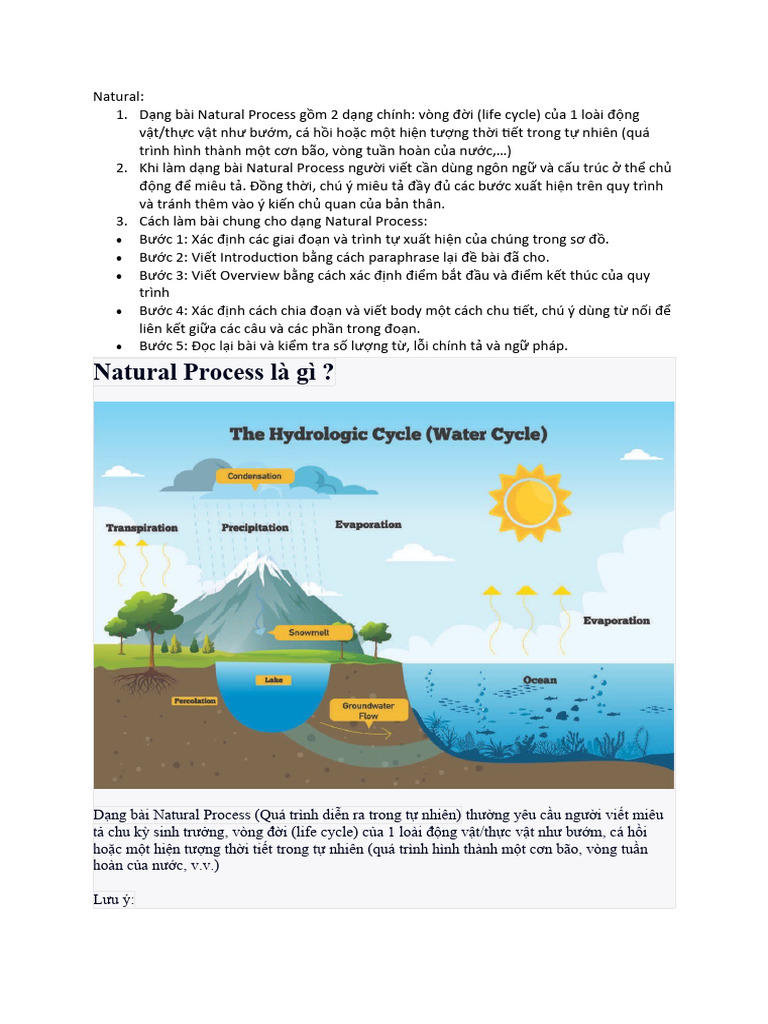 1 process natural | PDF