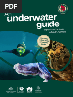 ORI Fish Fact Sheet Geelbek | PDF | Spawn (Biology) | Fish