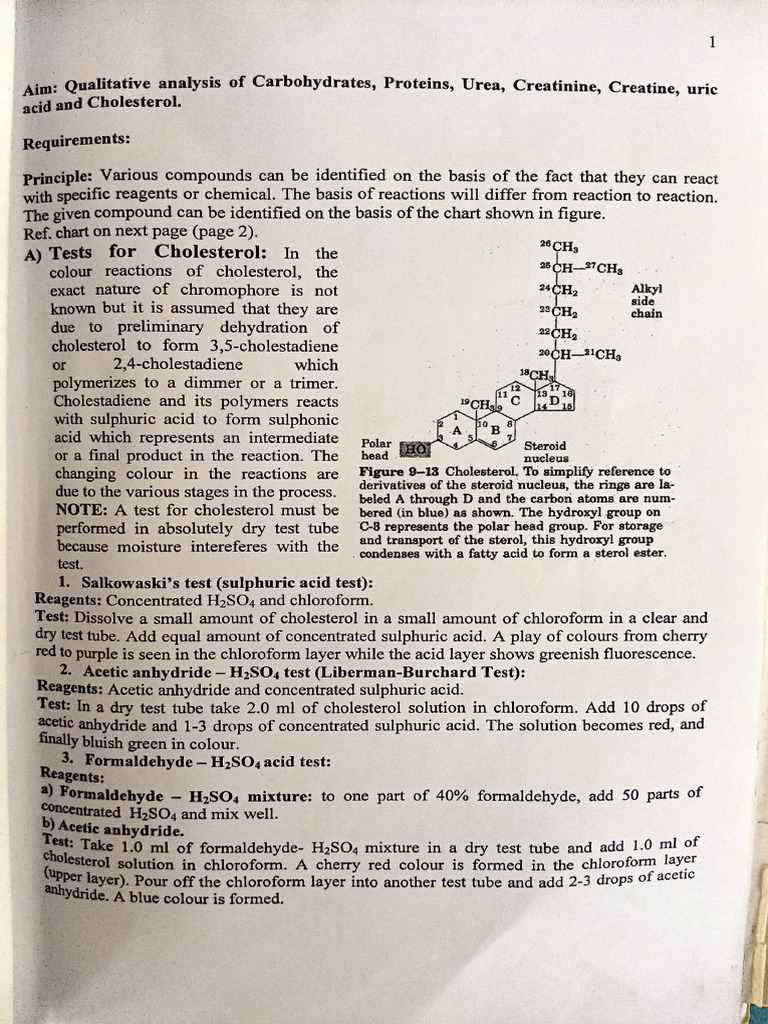 Analysis of Carbohydrates and Proteins | PDF | Chemical Compounds ...